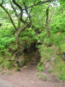 The mysterious Lud Church and the Green Knight – Stephen Liddell