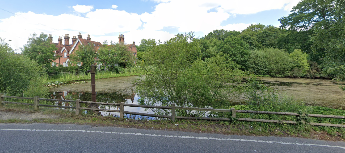 Coronavirus Diary 23 – A visit to Caesar’s Pond, Stanmore. – Stephen ...