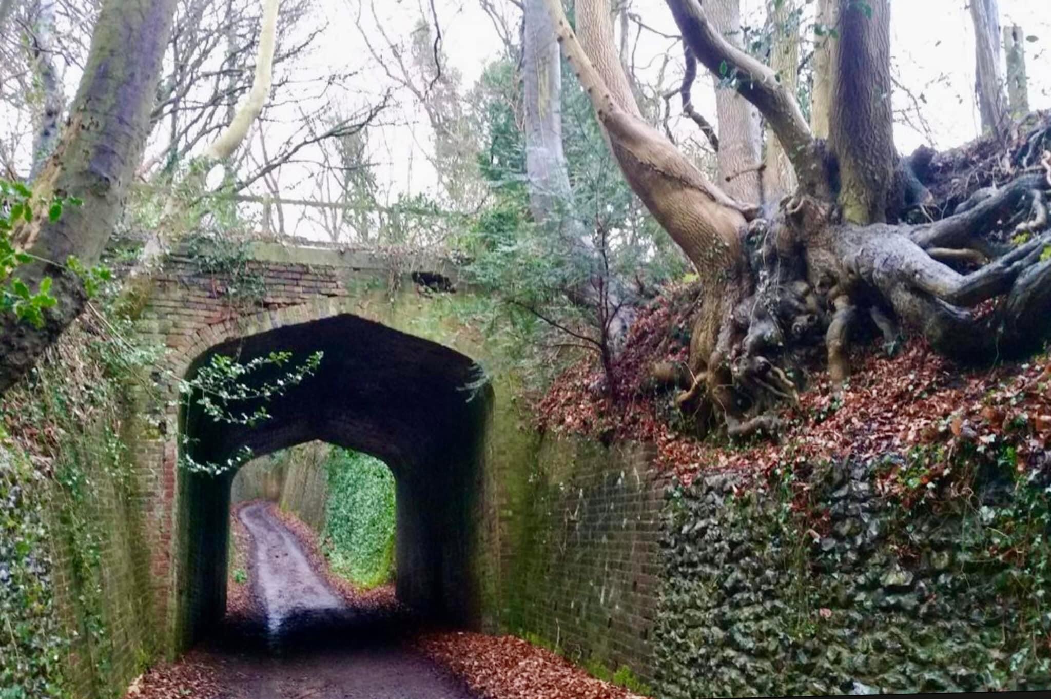 The Devils Bridge in Spooky Lane, Hertfordshire – Stephen Liddell